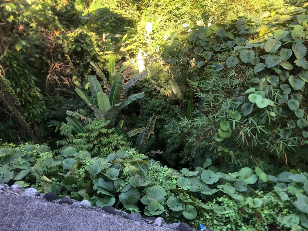 3 ka kalabera sang tawo nga nasulod sa lain-lain nga sako, nasapwan sa ...